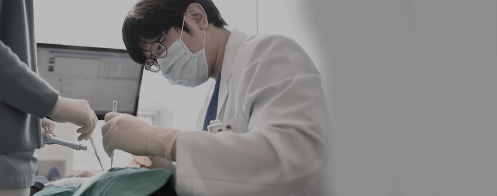 clinic-odontoplasty-Bleaching-main